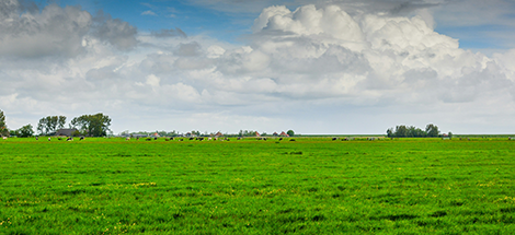 VLAIO - Aanspreekpunt voor ondernemers in Vlaanderen | VLAIO