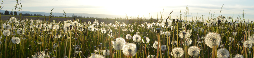 Over duurzaamheidscertificaten, labels en groene claims | VLAIO