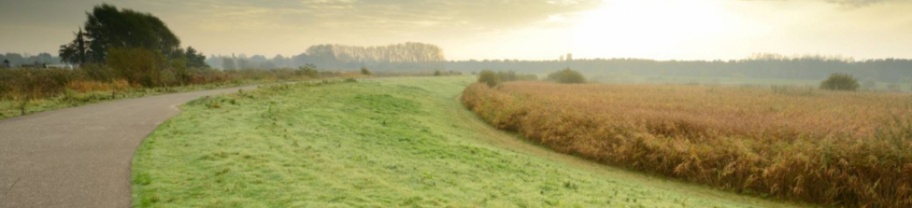 Bermgras als grondstof voor de productie van papier - Voorbereiding | VLAIO